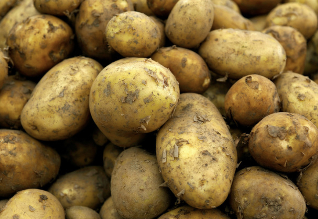 Specials – Coco’s Annerley in Annerley, QLD